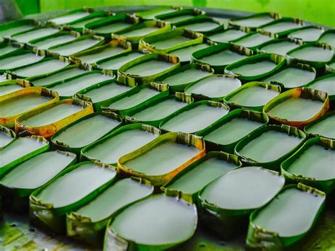 Candu Nikmat Itu Bernama Tetu Tutura Id Bertutur Jernih Menawarkan Perspektif