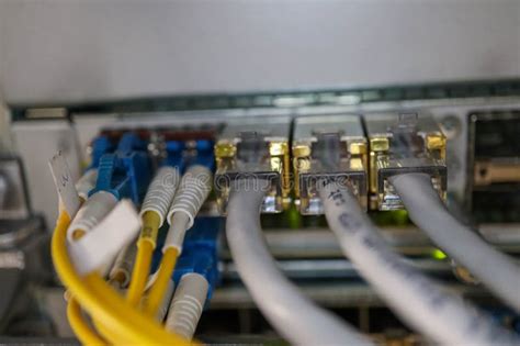 Network Hub Switch And Patch Cables With Lights Stock Image Image Of Communication