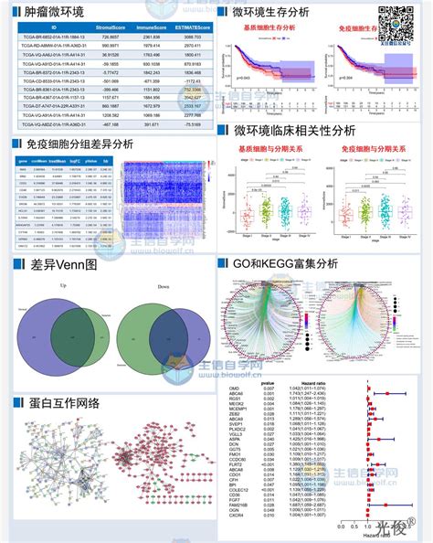 肿瘤微环境 单基因 免疫细胞浸润联合TCGA生信视频 生物信息学 微环境联合免疫 TCGA高阶 生信自学课堂 生信自学网 生物信息学视频教程