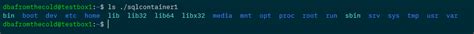 Running A Sql Server Container From Scratch Sqlservercentral