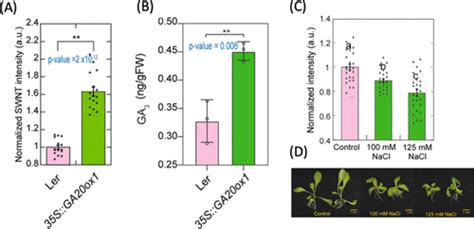 Carbon Nanomaterial Fluorescent Probes And Their Biological Applications Chemical Reviews