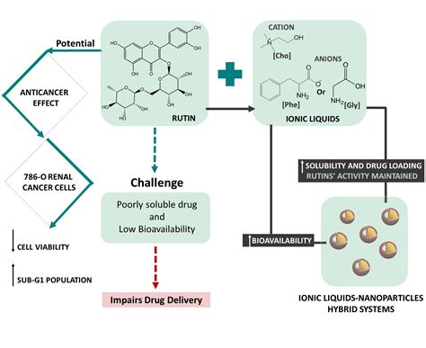 Biomolecules Free Full Text Anticancer Activity Of Rutin And Its