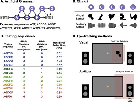 artificial grammar learning paradigm a illustration of the