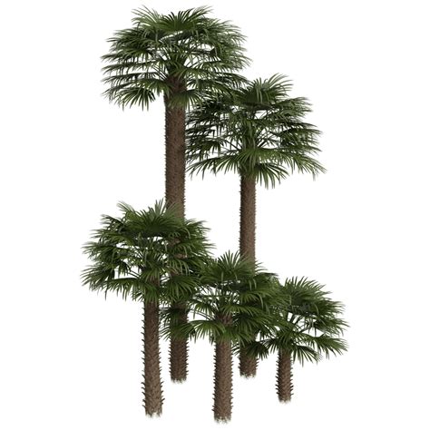 Trees 3d Model A23d