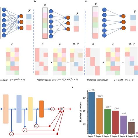 Interpretable Biologically Informed Deep Learning P Net Is A Neural
