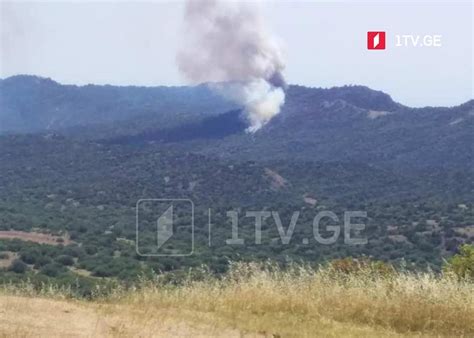 ვაშლოვანის ნაკრძალში კვლავ ხანძარია 1tv