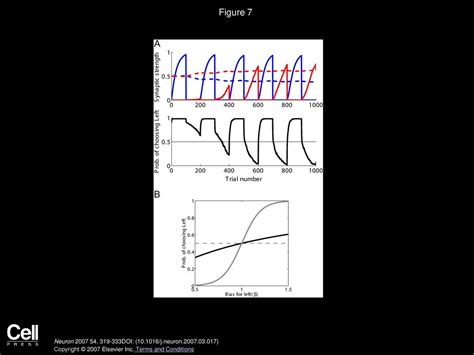 a neural circuit model of flexible sensorimotor mapping learning and