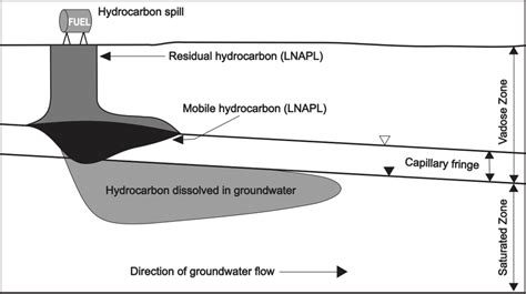 Subsurface Distribution Of A Lnapl Spill And Its Immiscible Download Scientific Diagram
