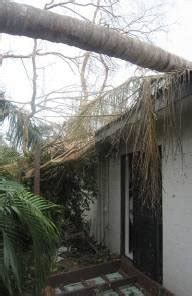 52 A Tree Damage To Housing Download Scientific Diagram