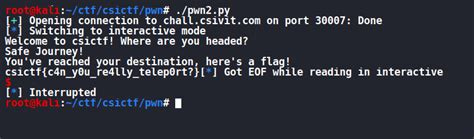 PWN CTF Writeups
