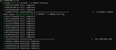 how to self host deepseek opensource ai models with ollama and docker on ubuntu linux