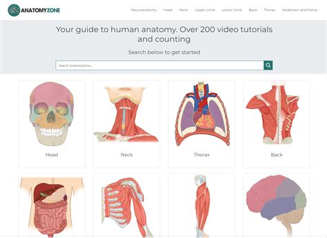 Online Resources Anatomy And Physiology Libguide Libguides At South