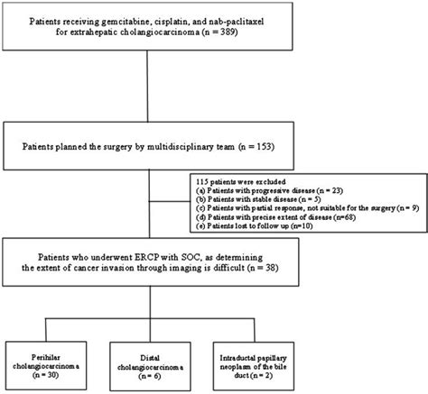 Diagnostic Cholangioscopy For Surgical Planning Of Extrahepatic