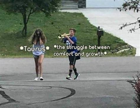 50 Best Taurus Memes That Describe This Zodiac Sign Yourtango