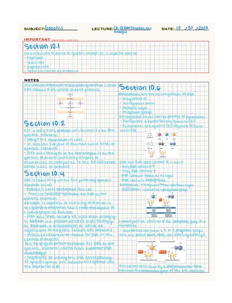 DNA Structure And Analysis LECTURE DATE NOTES SUBJECT IMPORTANT Equations Laws Etc