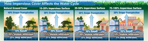 Impermeable Surface Runoff