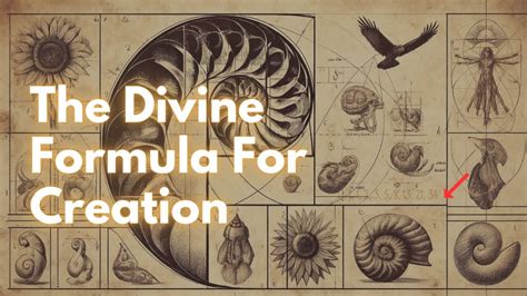 The Spiritual Meaning Of The Fibonacci Spiral Spiritual Meaning The Spiritual Meaning Of The Fibonacci Spiral Spiritual Meaning