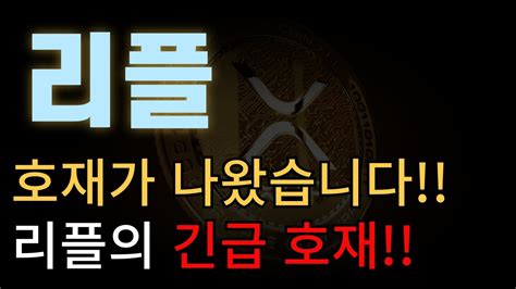 리플 코인 호재가 나왔습니다 리플의 긴급 호재 Youtube