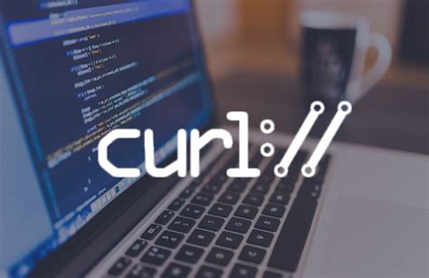 Cómo solucionar el problema cURL error en WordPress Blog Interdominios