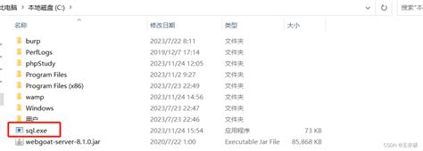SQLMap实战文件读写与远程shell获取技术 CSDN博客