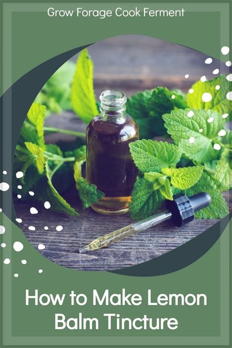 How To Make Lemon Balm Tincture Artofit