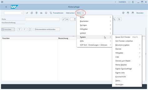 Sap Gui 760 Ist Verfügbar Rz10