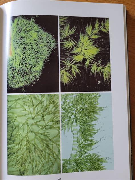 Freshwater Algae Their Microscopic World Explored Spec16 £6000