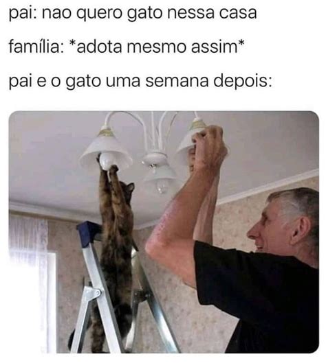 Não Vai Acordar A Sua Sobrinha Eu Abro A Porta Minha Sobrinha Memes