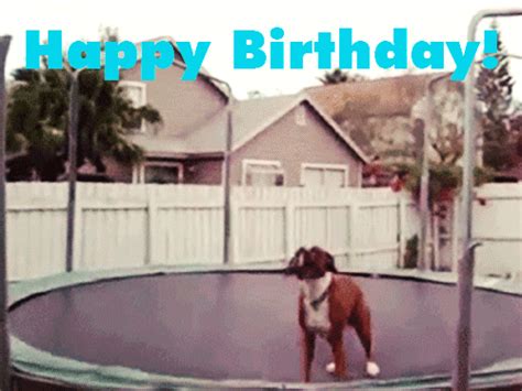 Cute Happy Birthday S And Funny Bday Animated Pictures