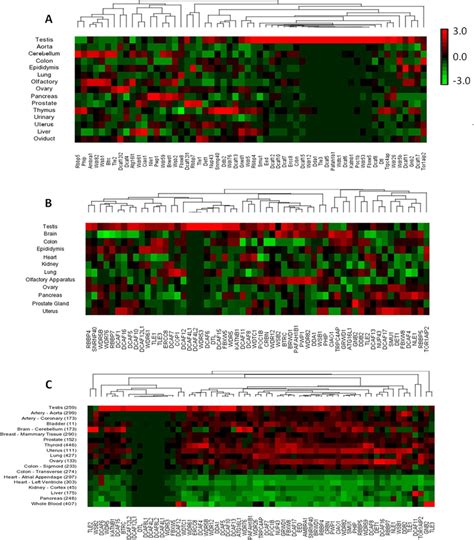 Unsupervised Hierarchical Clustering Of Mrna Expression Profile Of The Download Scientific