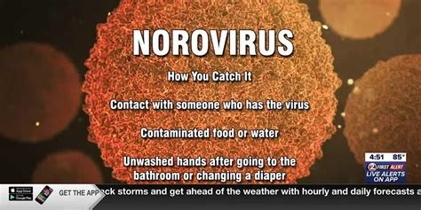3 Brilliant Minutes How To Beat The Norovirus And Why Disinfectant