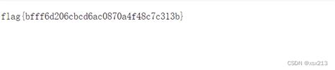 【polarctf】web Ezjava Csdn博客