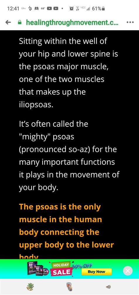 Pin By Brenda Dotter On Exercise And Fitness Major Muscles Muscle Exercise