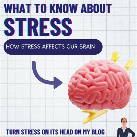 How Stress Affects Your Brain