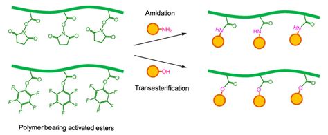 Recent Advances In Polymers Bearing Activated Esters For The Synthesis