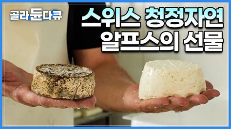 평화로운 알프스에서 자연 방목한 산양유로 만든 단백질 가득 염소 치즈│사람도 염소도 행복한 스위스 시옹 알파인 염소 농장│세계테마기행│골라듄다큐 Youtube