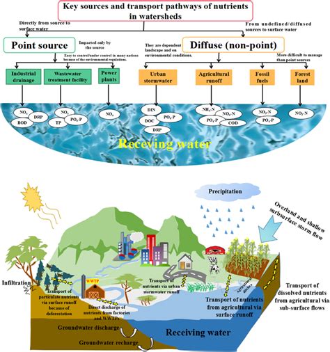 Hierarchy Exhibiting The Main Sources And Movement Pathways Of Nps Download Scientific Diagram