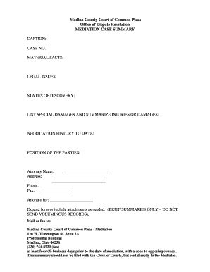 Mediation Case Summary Fill And Sign Printable Template Online