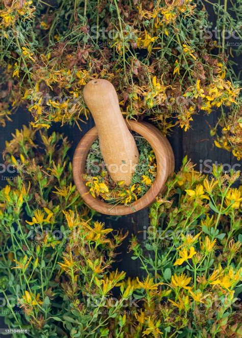 세인트 존스 워트 신선 하고 건조 나무 검은 테이블에 박격포에 상단 보기 고추나물에 대한 스톡 사진 및 기타 이미지 고추나물 사마귀 피부 상태 0명 Istock