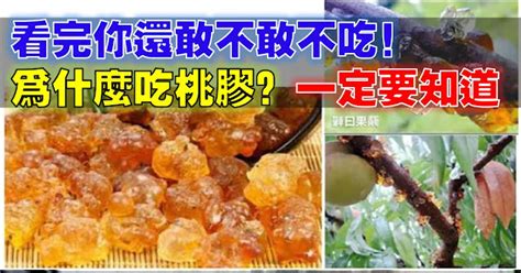為什麼吃桃膠愛美的妳一定要知道看完你還敢不敢不吃
