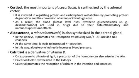 Hormone Synthesispdffutdtufdtudtudtufdtu Pdf Thyroid Disorders
