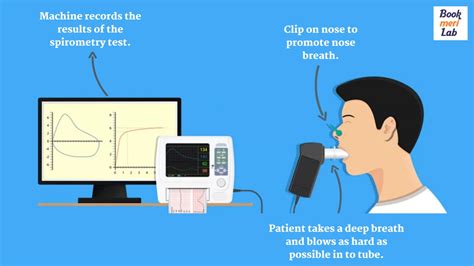 Pft Test Price Purpose Graph And Sample Report 2022 • Bookmerilab