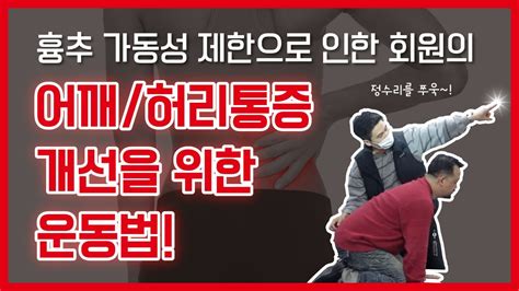 흉추 가동성 제한 어깨허리통증 개선을 위한 늑골갈비뼈 운동법 흉추흉곽가동성검사·흉추안정성운동·사자자세요가운동 Youtube