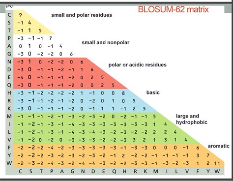 Consider The Alignments Below Of The Sequences