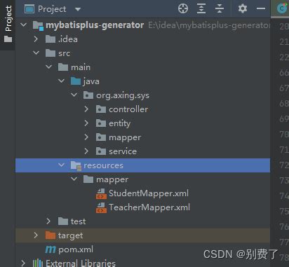 MybatisPlus FastAutoGenerator 代码生成器 CSDN博客