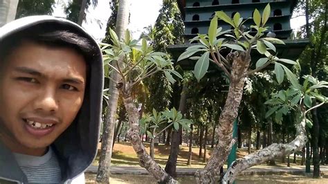 Ngintip Orang Y Lagi Ehmmmmm Youtube