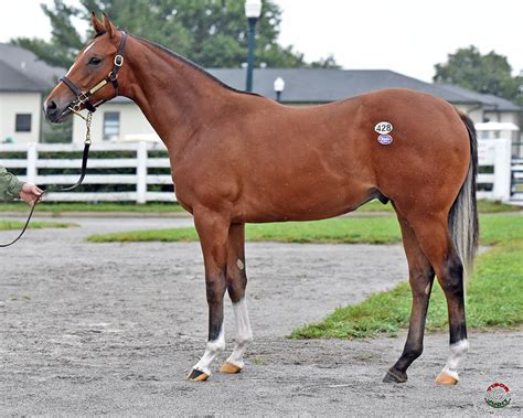 Largent Eclipse Thoroughbred Partners