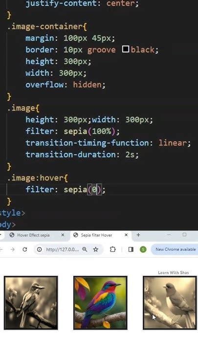 Hover Effect Sepia Scale And Grayscalecsshovereffect Sepiagrayscalewebdevelopment