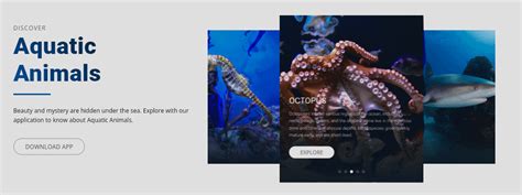 25 Css Sliders