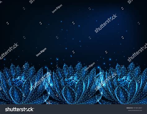 Flowers Boder Over 81 Royalty Free Licensable Stock Vectors And Vector Art Shutterstock